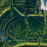 Huw Richards | Substack