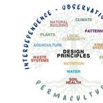 Shell’s Substack | Substack