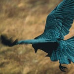 Death & Birds | Chloe Hope | Substack