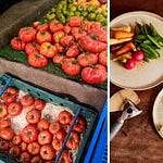 Shell’s Substack | Substack