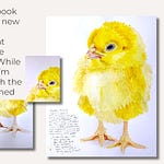 Cricklewood Nature Journal | Susannah Fisher | Substack