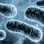 Things Hidden in Complexity | Moriarty | Substack