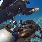 Ocean Pulse | Toju Raine | Substack