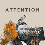 A Mug of Insights | Robin Waldun | Substack