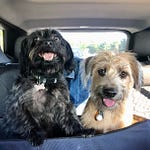 The Positive Pen | John Rinaldo | Substack