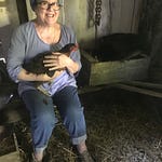 The Camont Journals with Kate Hill | Substack