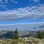 Madison Spain Club | Blakely Spoor | Substack