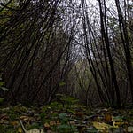 Still Sketching | Deborah Vass | Substack