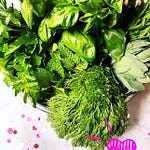 The Department of Salad: Official Bulletin | emily nunn | Substack