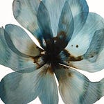 space holder | Abi | Substack