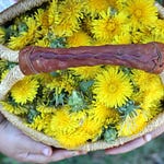 Practical Self Reliance | Ashley Adamant | Substack