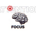 Answer In Progress | Substack