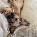 The Positive Pen | John Rinaldo | Substack