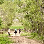 Mariah's Journals from the Calchaqui Valley. | Mariah Bonner | Substack