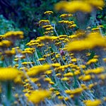 Shell’s Substack | Substack