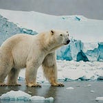 Colligo | Erik J Larson | Substack