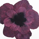 space holder | Abi | Substack