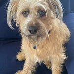 The Positive Pen | John Rinaldo | Substack