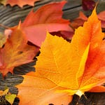 Kpris’s Substack | K-Pris | Substack