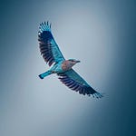 The Art of Flash Fiction | Kathy Fish | Substack