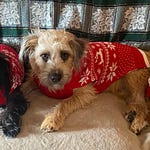 The Positive Pen | John Rinaldo | Substack