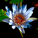 Shell’s Substack | Substack