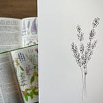 Happy Surprises | Susan Jimenez | Substack