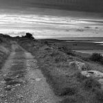 David Whyte | Substack