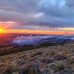 The Hotshot Wake Up | Substack