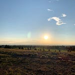 Little Grace | Lila | Substack