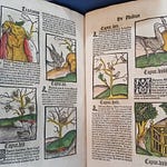 Res Obscura | Benjamin Breen | Substack