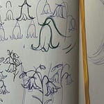 Happy Surprises | Susan Jimenez | Substack