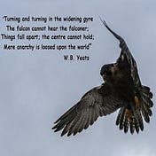 Graham Cunningham | Substack