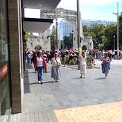 Peter E C Simmonds | Substack