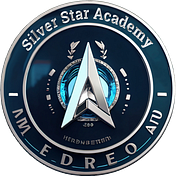 The Silver Academy | Substack