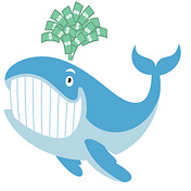 Unusual Whales | Substack