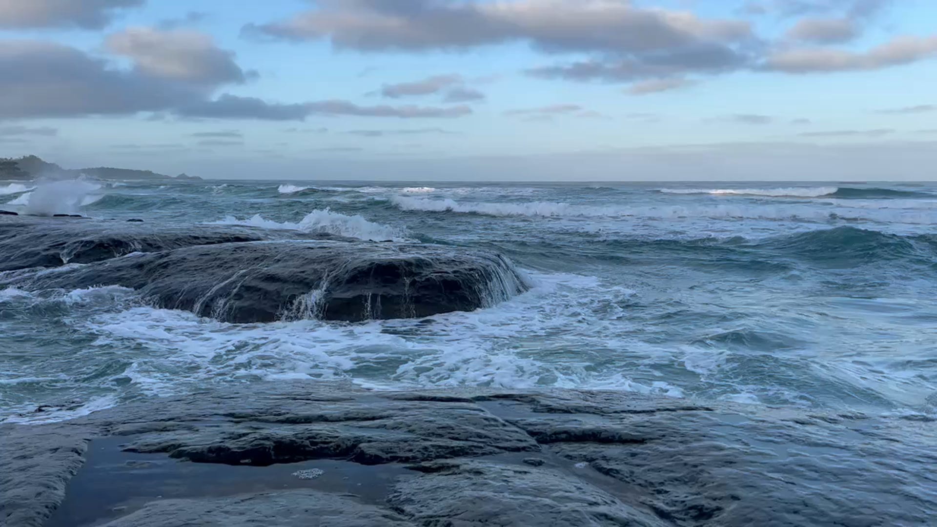 Samwise the Brave - Tom Ryan, Author