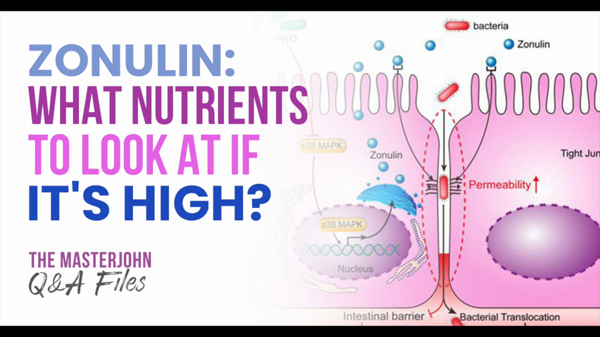 224: Zonulin: what nutrients to look at if it's high?