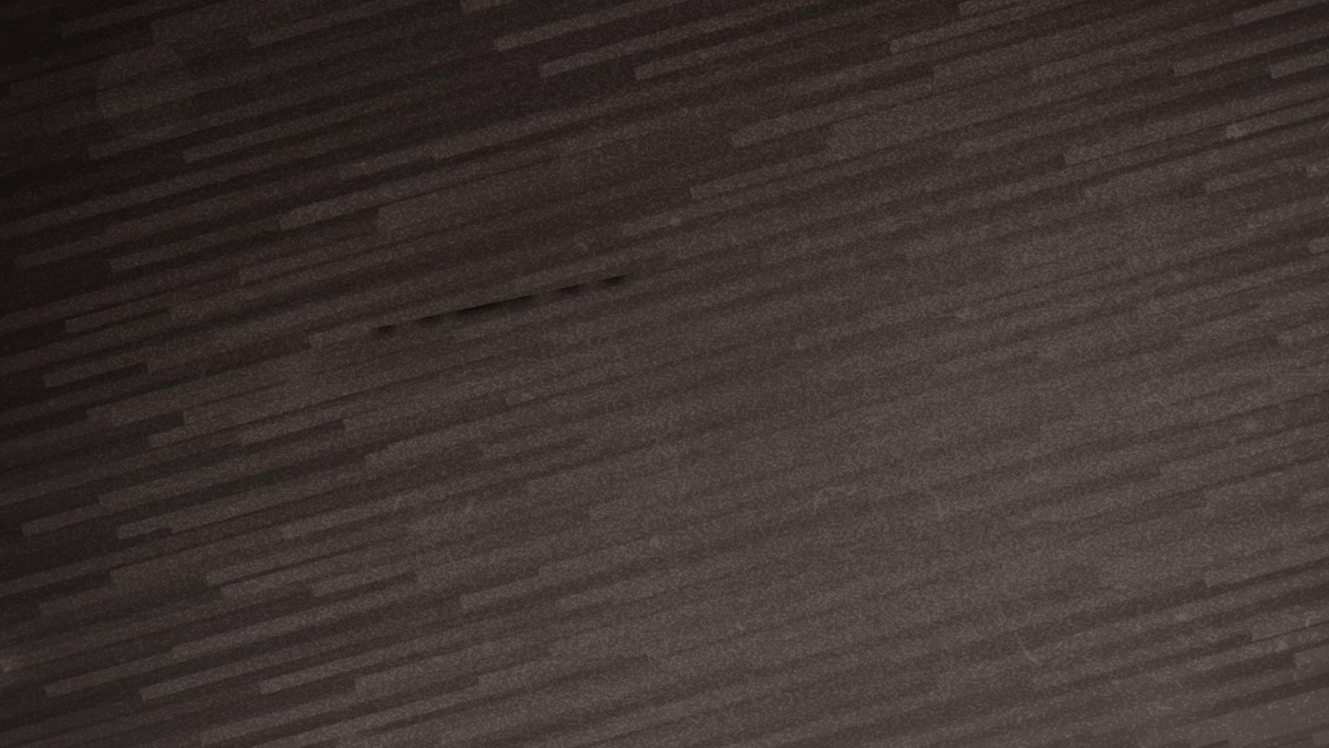 Democracy Won The Midterms Video