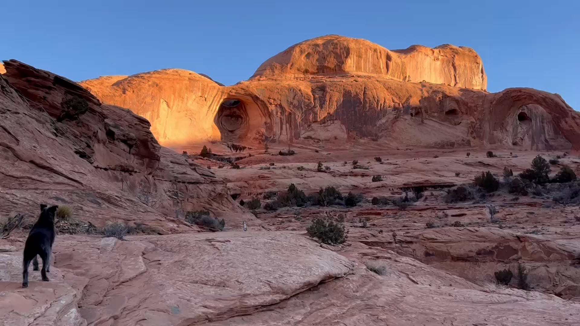 Splendid Isolation in Edward Abbey Country