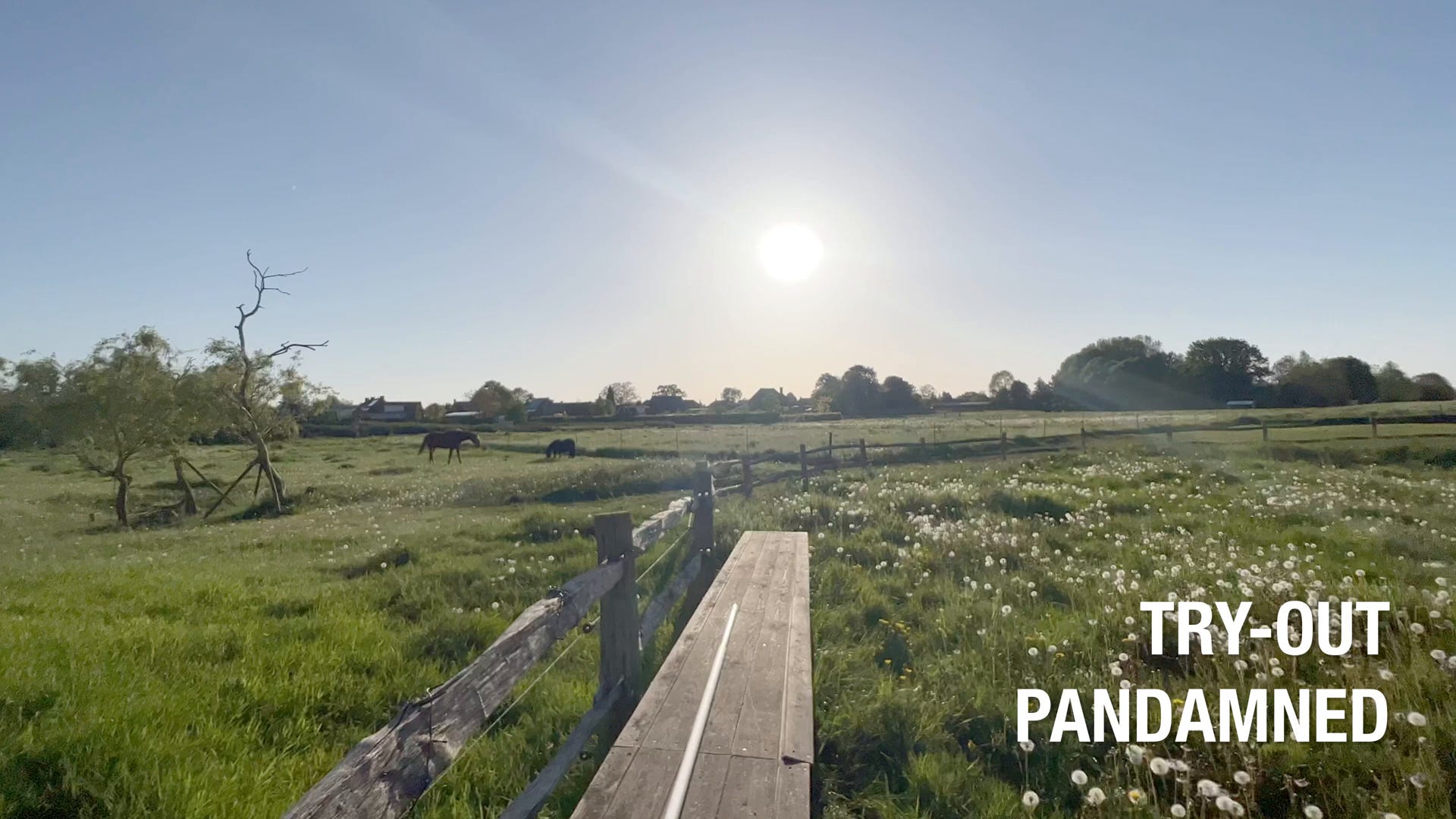 Pandamned: heute ist Weltpremiere! - by Milosz Matuschek