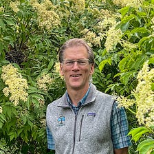 Bill Davison | Substack