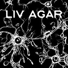 Liv Agar | Substack