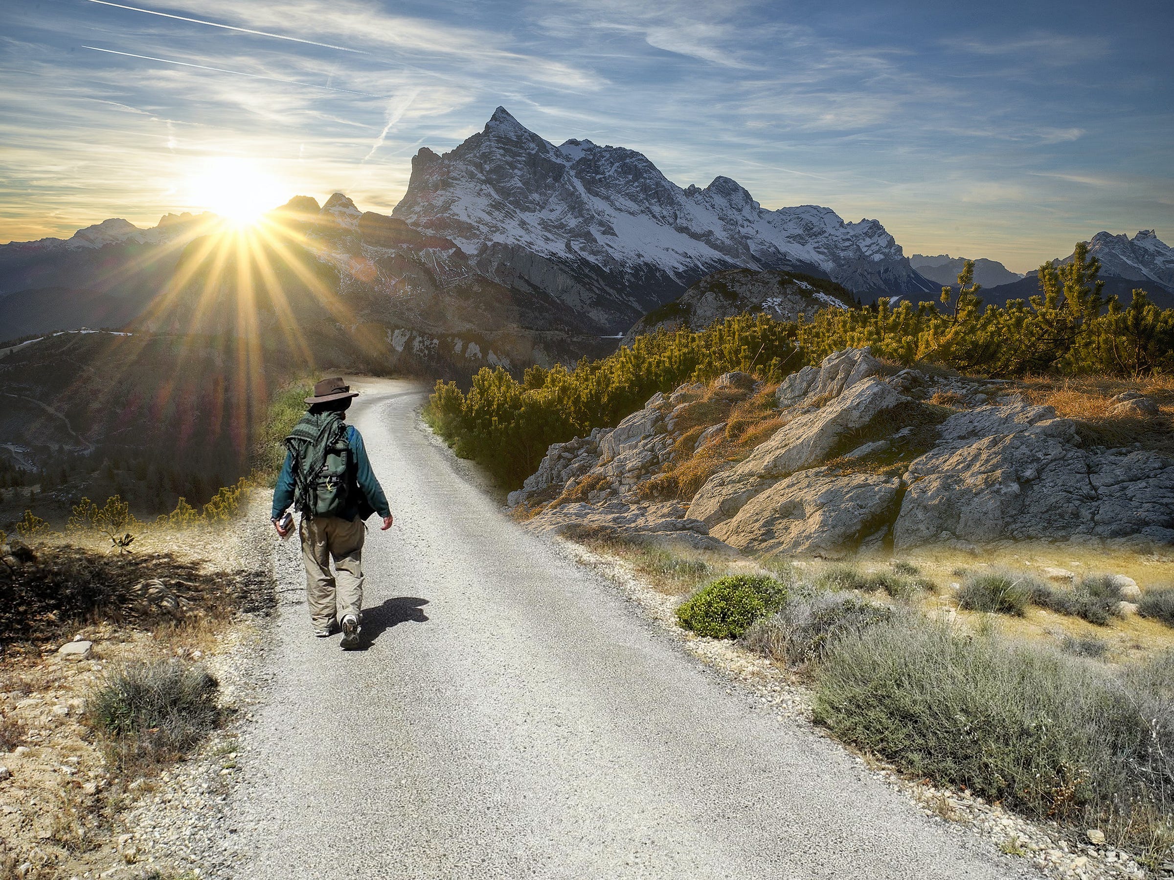 States and Stages - by Justin Weiner - Jungle Navigation