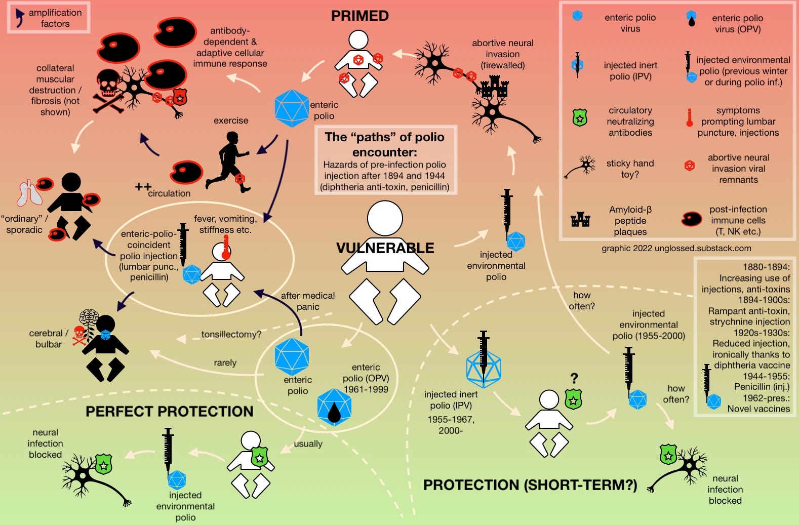 Decoding Polio - by Brian Mowrey - Unglossed
