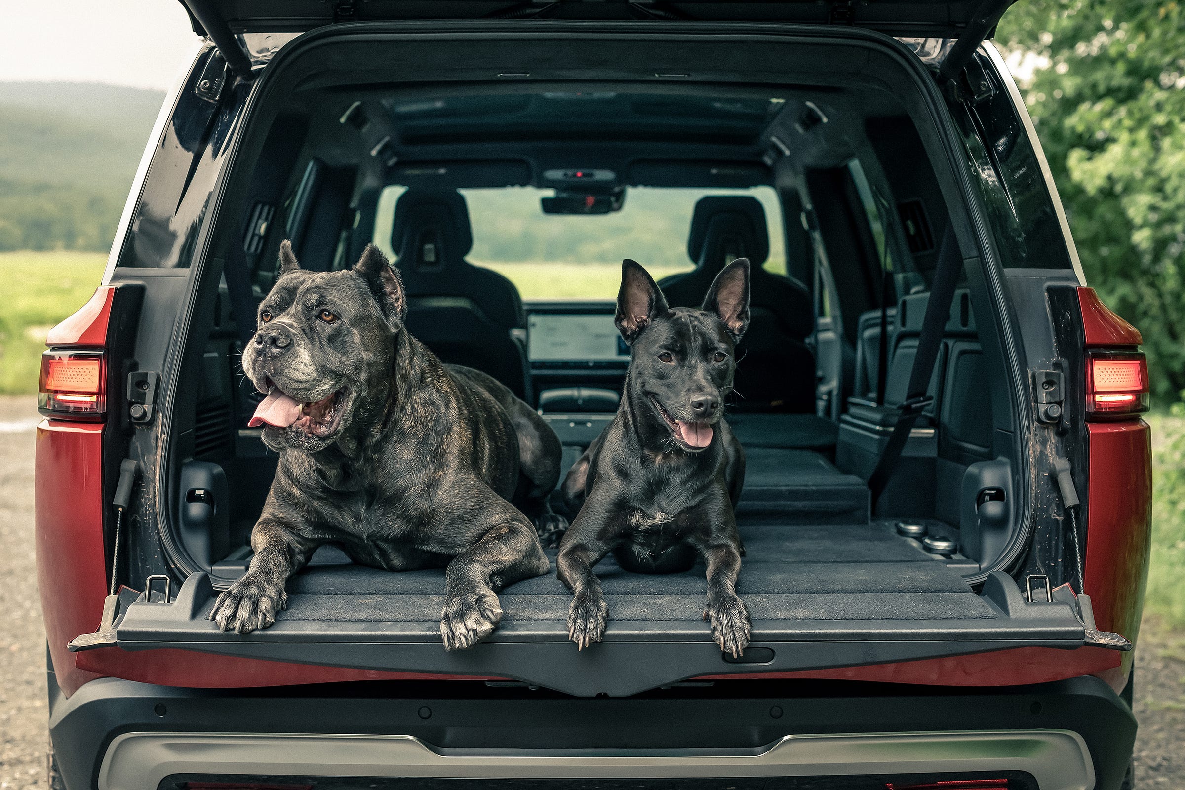 2022 Rivian R1S: 800 horsepower and seating for seven | The North State ...