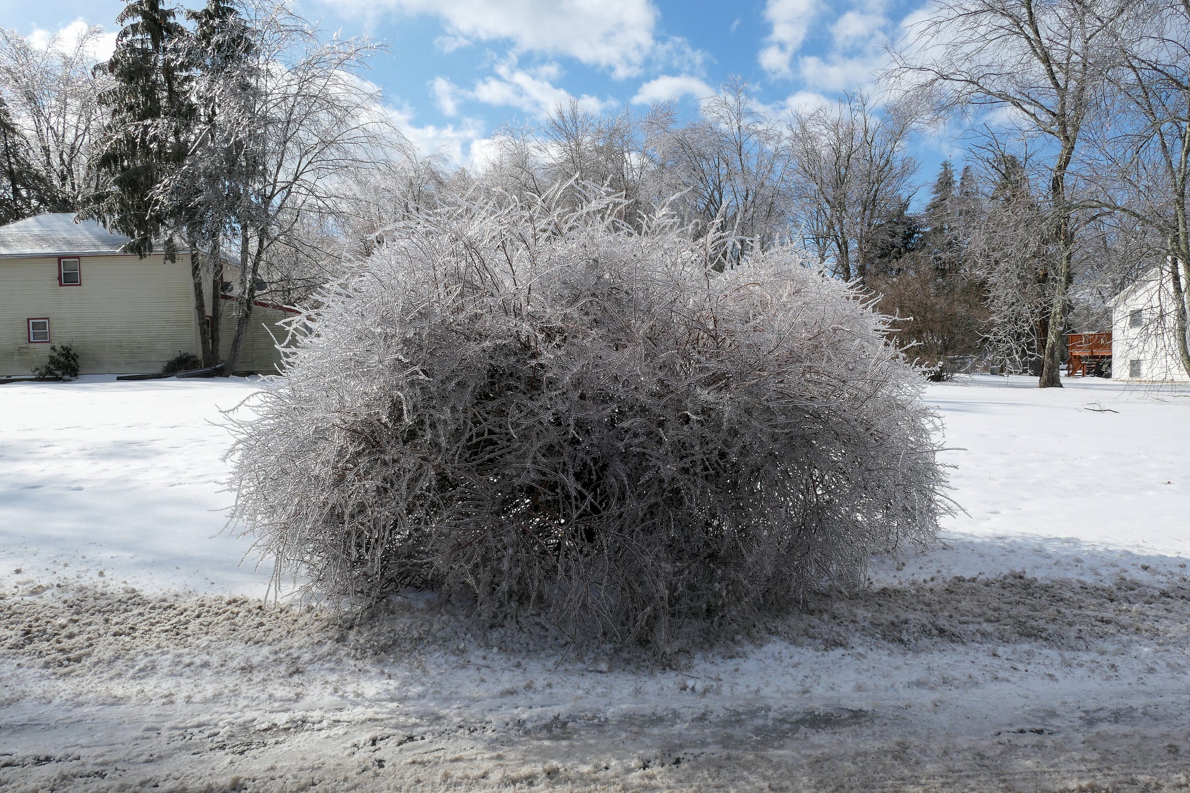 How to Walk (12 miles a day)