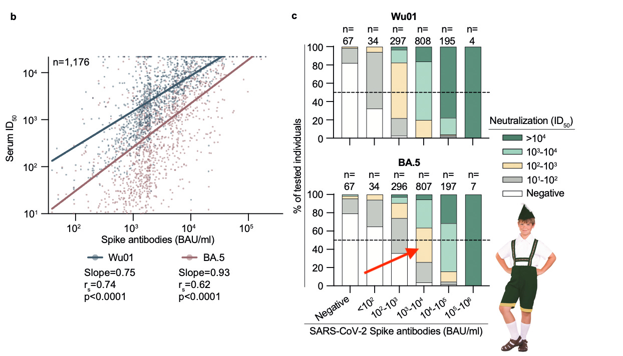 The Germany "Impaired Immunity" Study - by Brian Mowrey