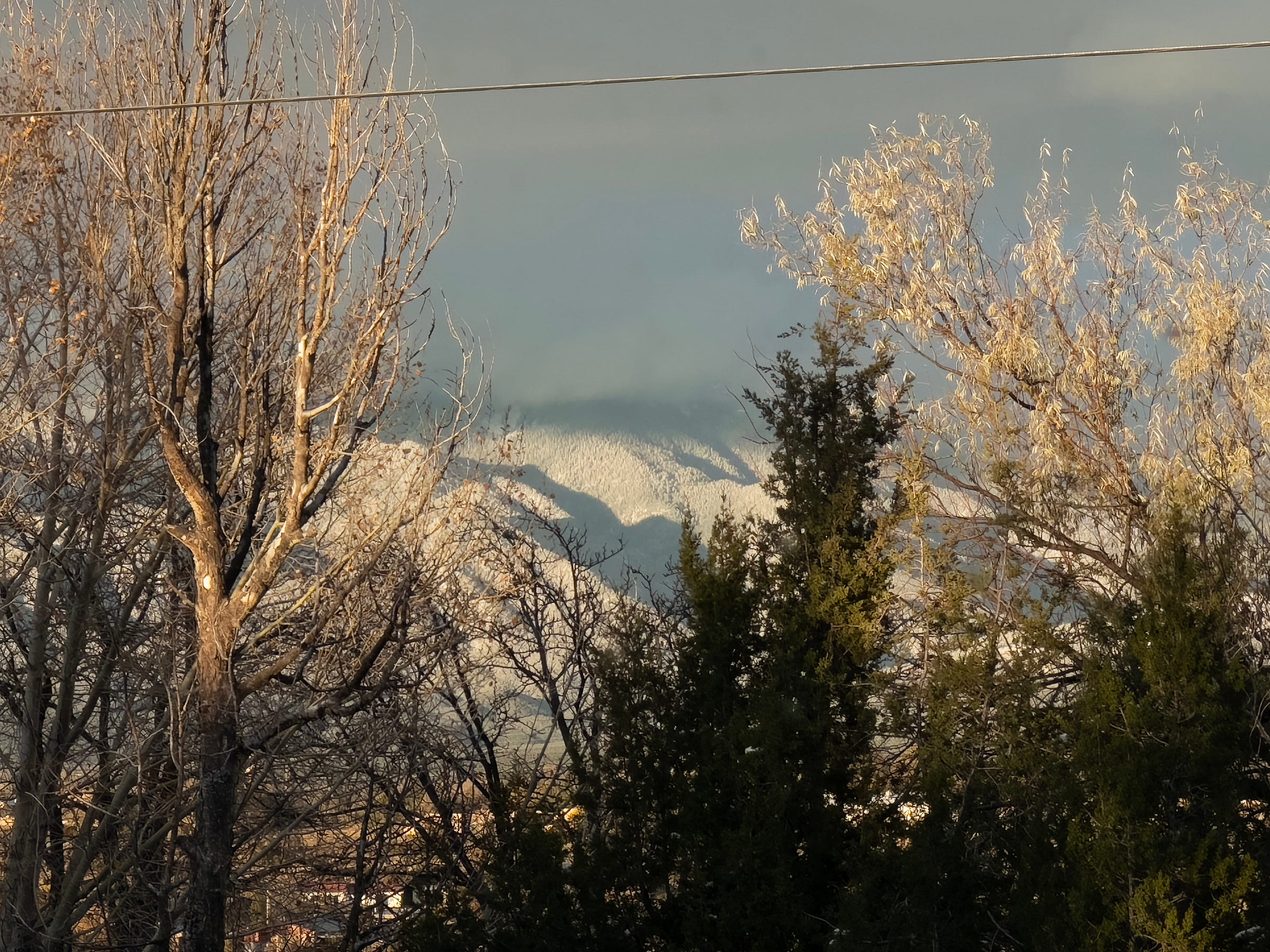 Primal Photographs & NFTs - by John Hamilton Farr