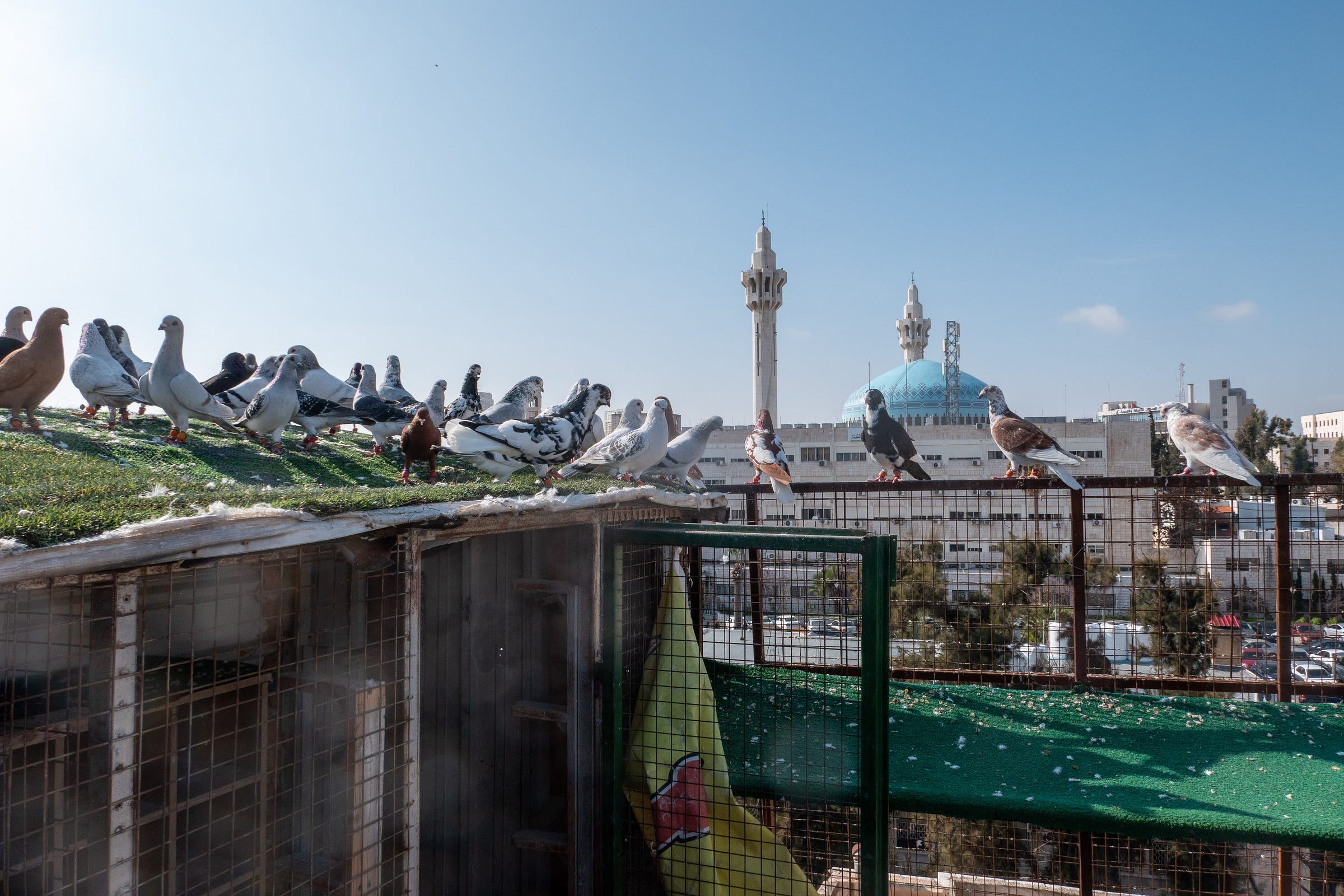 Pigeon Keepers of Amman - Chris Arnade Walks the World